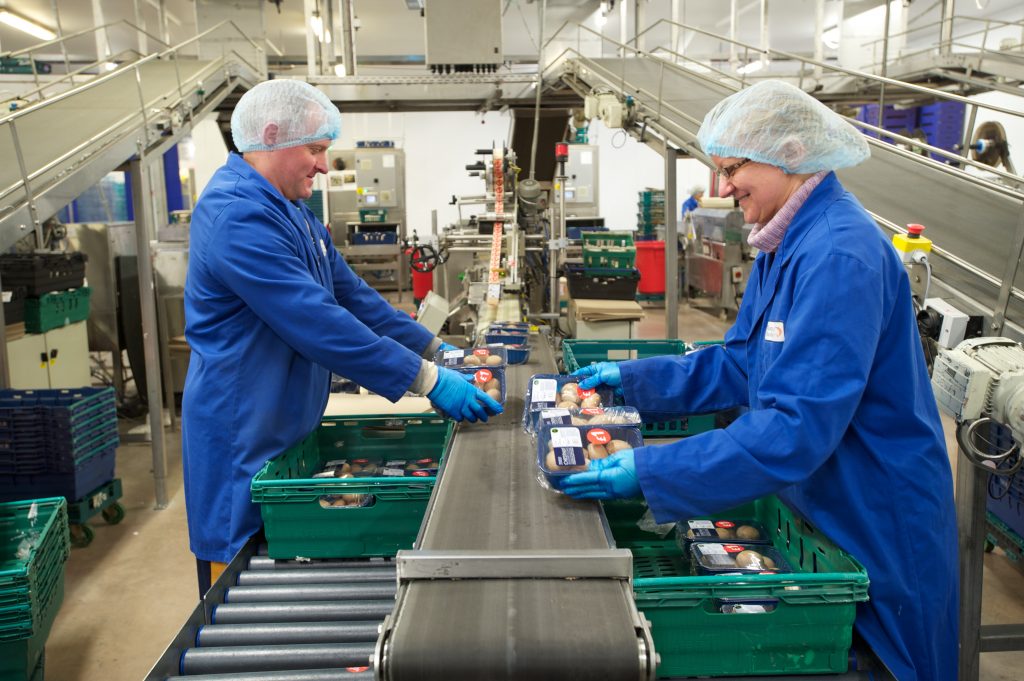 Our Mushrooms - Commercial Mushroom Growers Ltd